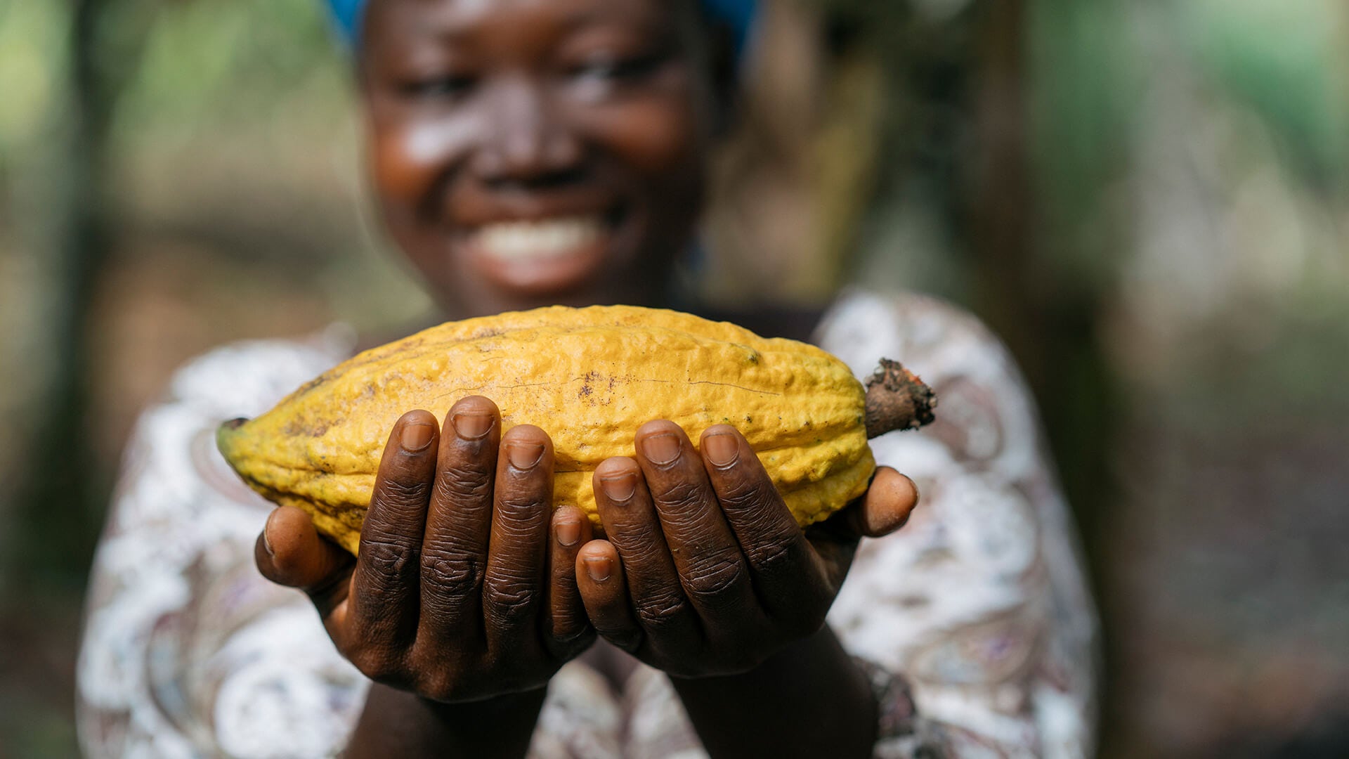 Hersheys Cocoa Beans